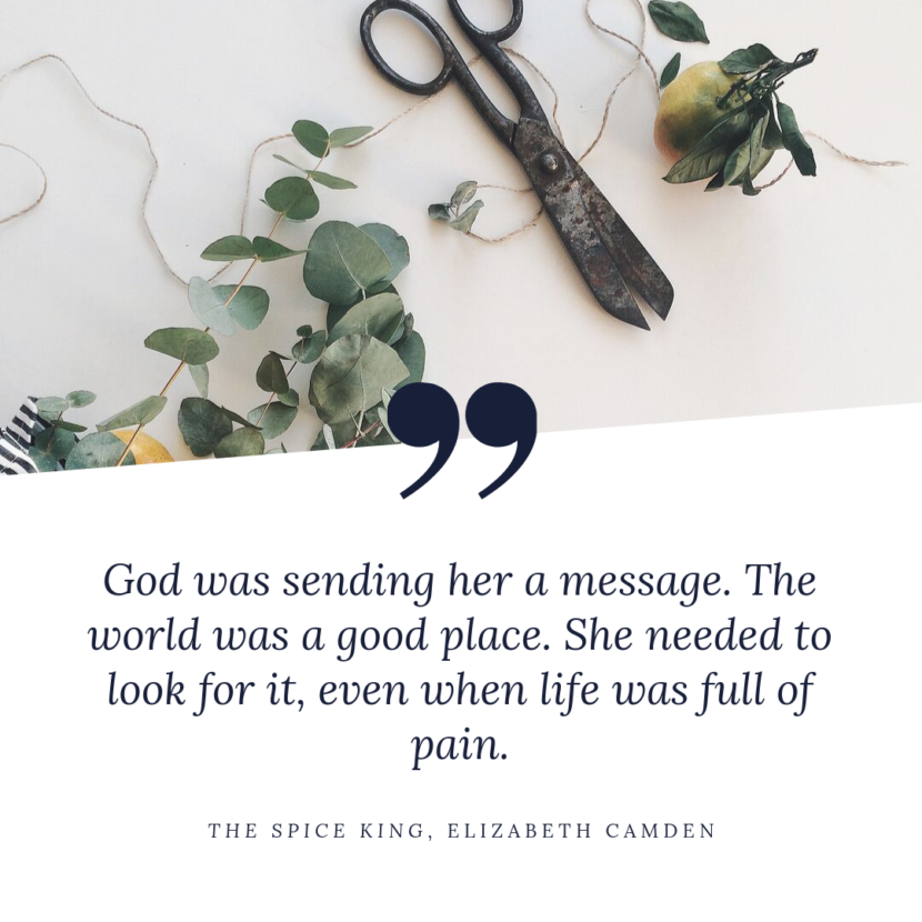 Just Read: The Spice King by Elizabeth Camden - Jennifer Purcell