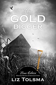 The Gold Digger by Liz Tolsma: A Review - Jennifer Purcell